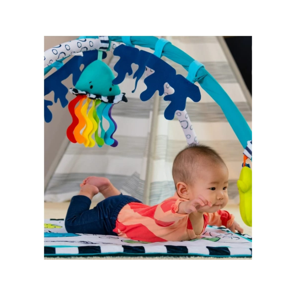 Sassy Developmental Toys Grow Along Gym – Sea Pals – The Baby Barrel ...